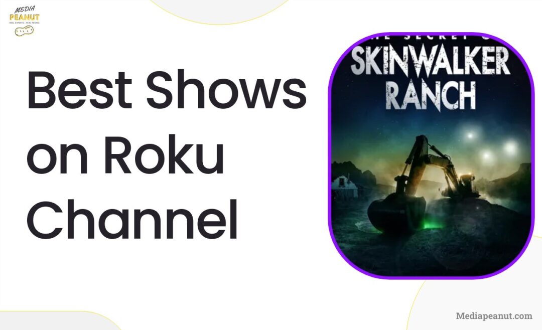 24+ Best Shows On Roku Channel Right Now 2026
