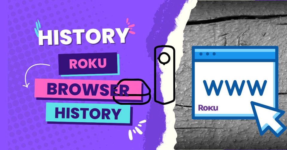 12 Best Roku Web Browsers (Working & Compatible) 2024