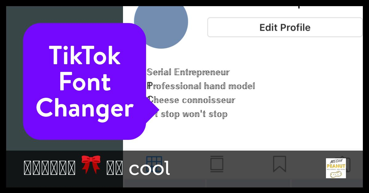 TikTok Font Generator Cool Fonts You Can Use On TikTok 2023